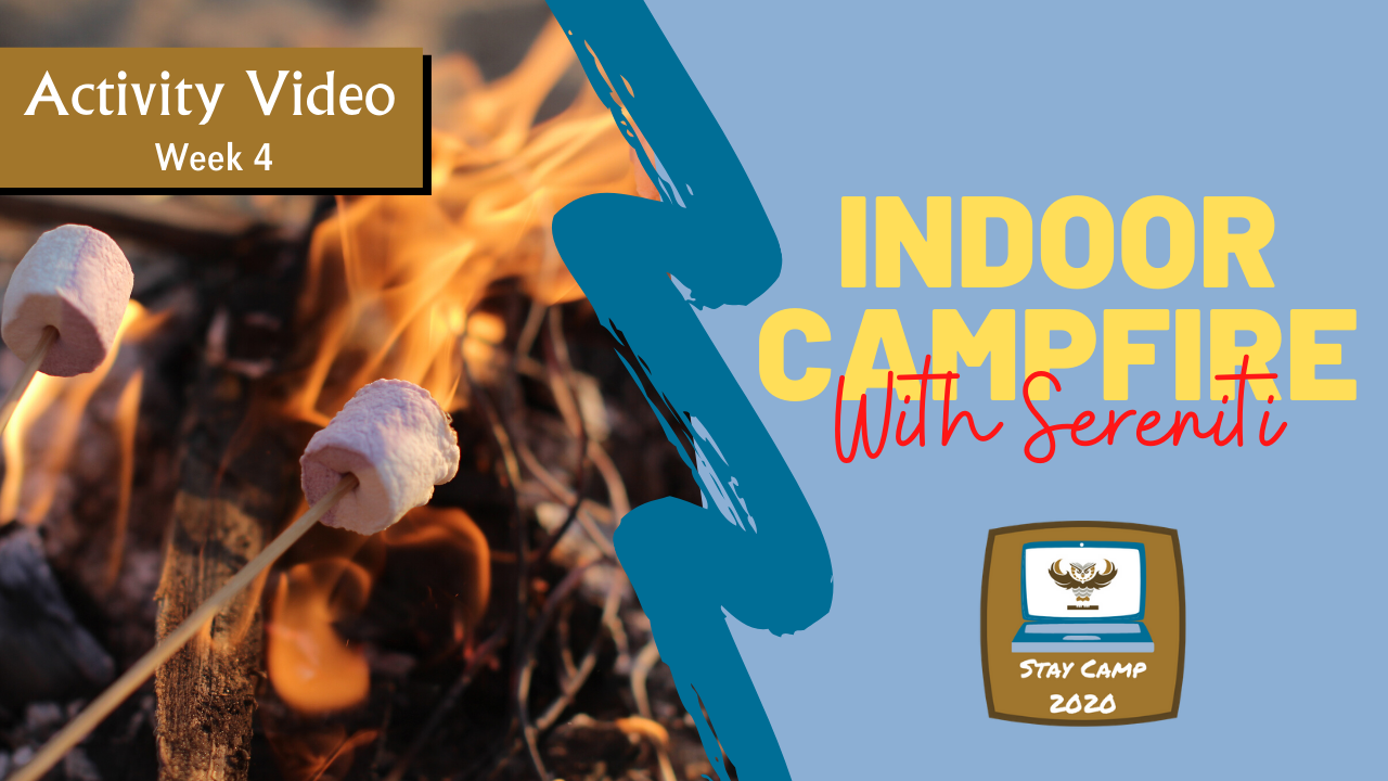 Indoor Campfire - Sherwood Forest